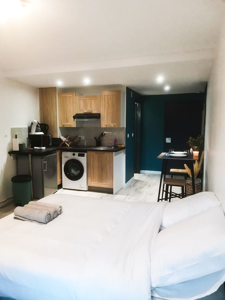 Studio "Le Port Express" - Labège