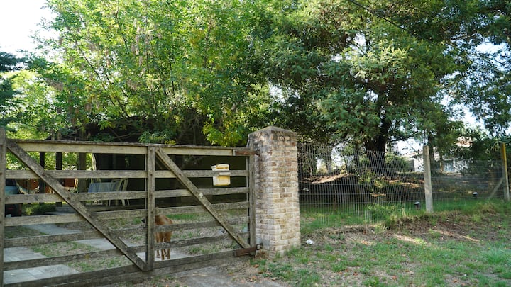 Casa Verde En La Naturaleza, Apta Para Mascotas - La Floresta
