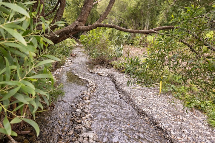 Farm Creek Guesthouse - Upper Hutt