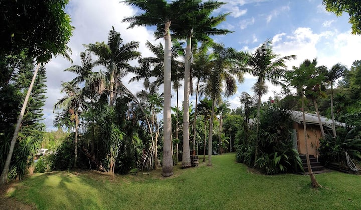 Villa Des Palmiers - Nouméa