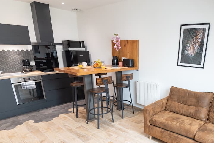 Duplex Confort, Gare Tgv Et Hypercentre Par Groom* - Lorient