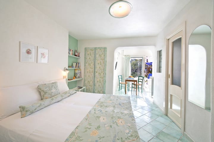 Classic Studio Garden Terrace - Forio
