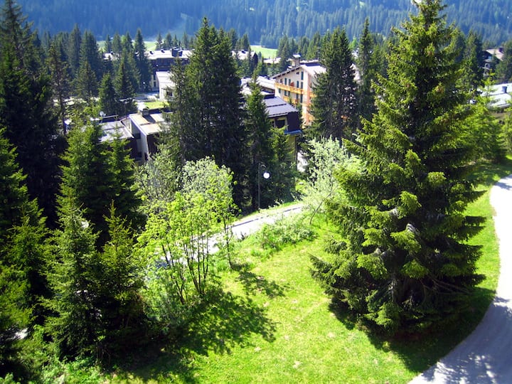 Amazing View @Madonna - Madonna di Campiglio