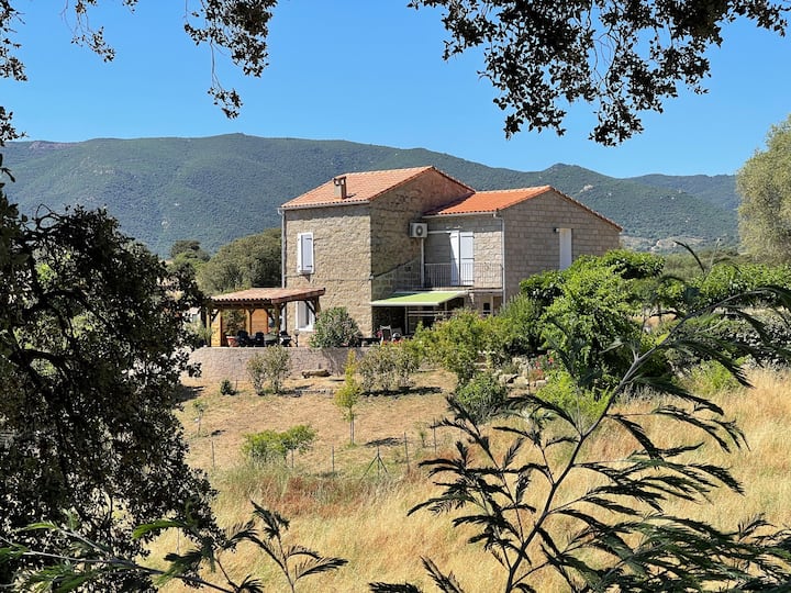 Chambre D’hôte à La Campagne - Olmeto