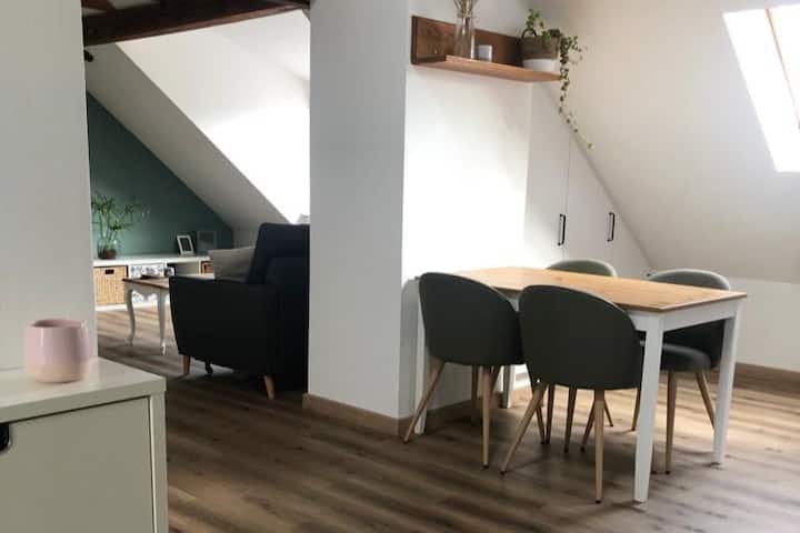 Deux Pièces + Mezzanine, 10min Hypercentre - Strasbourg