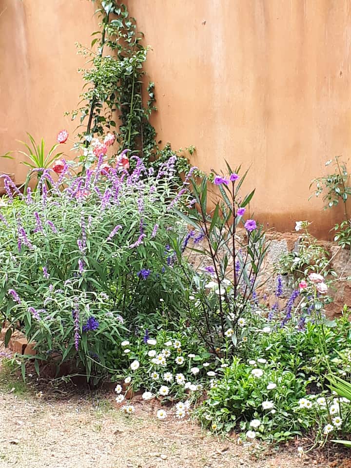 Maison Vatosoa Chambres D'hôtes - Antananarivo