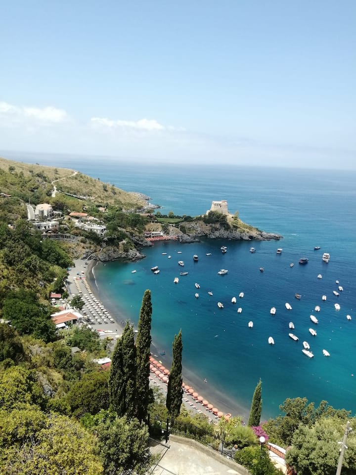 Bouganville - San Nicola Arcella