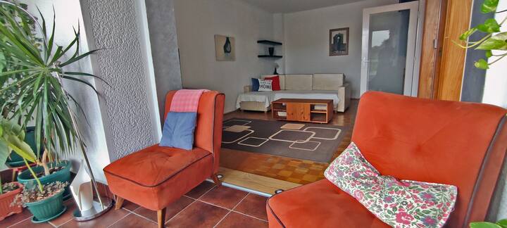 Sokolov Apartment In City Centre - Smederevo