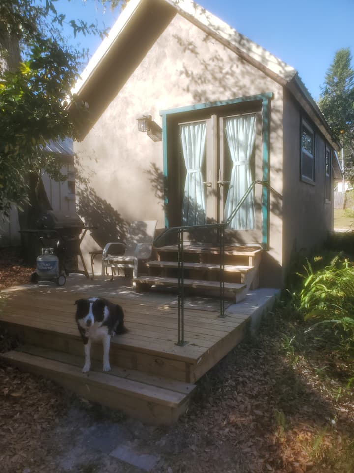 Safety Harbor Cottage - Safety Harbor, FL