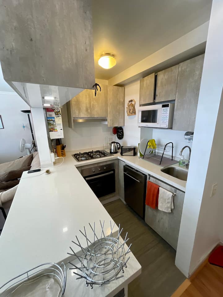 Depto. Casino Viña Del Mar (Excelente Ubicación) - Valparaíso