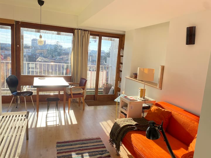 Duplex Très Lumineux Avec Balcon, St-sernin - Toulouse