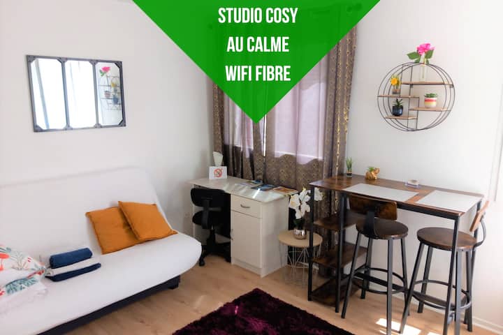 Le Zen -Studio Tout éQuipé- Wifi Fibre Et Parking - Tarbes