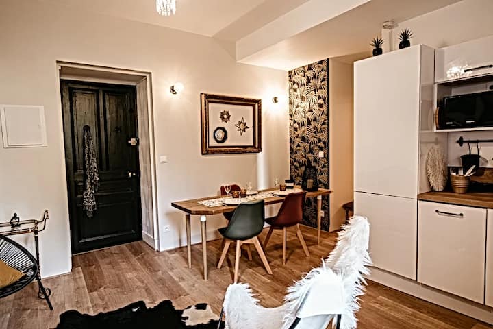 App. Madame, éLégant Et Moderne, Classé 3 éToiles - Aix-les-Bains