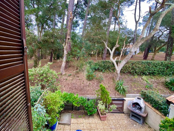 Villa Face Aux Pins, Océan à Pied - Seignosse