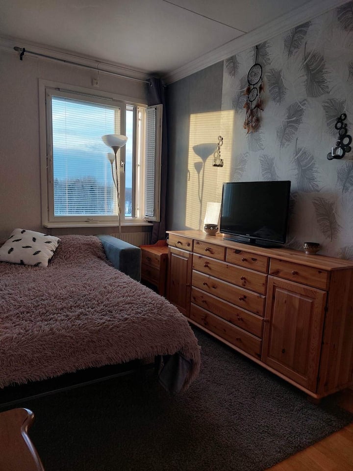 Spacious Apartment For Your Comfortable Stay - Stockholm