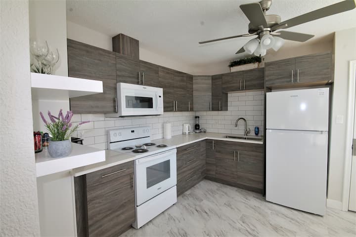 Modern-sunny- Clean & Fully Renovated - Regina
