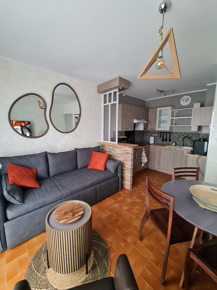 Appartement De 38 M2 Avec Garage à 200 M De La Mer - Mimizan-Plage