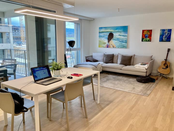 Very Nice Apartment - Nyon
