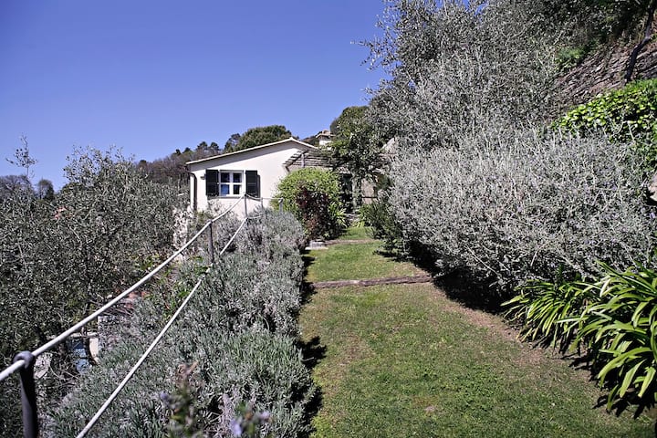 Villa Con Piscina Con Vista Mare - Zoagli