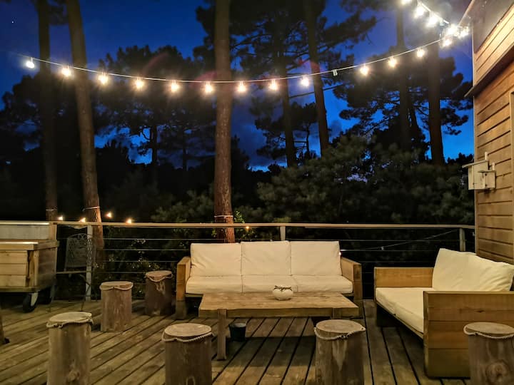 Maison Dans Les Pins - Carcans