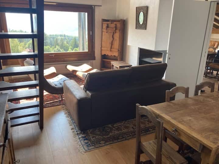Megève Pied Pistes Et Golf Appart + Studio Joints - Megève