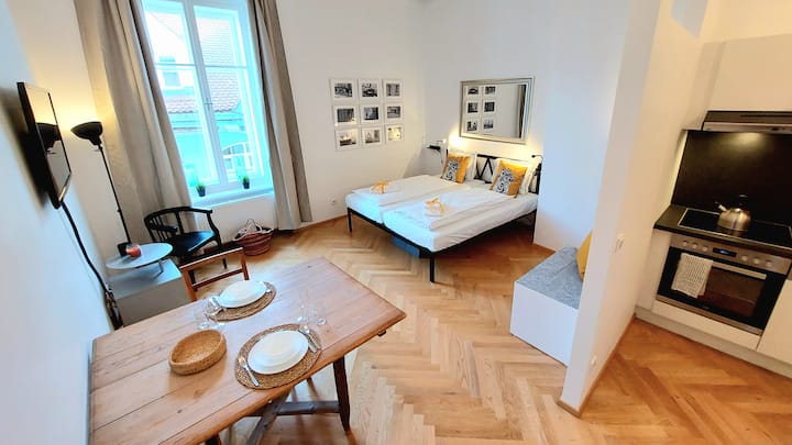 Central, Quiet, Modern App In Old Town Graz - Graz