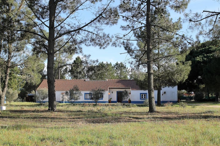 Casa Do Pinheiro - Grândola