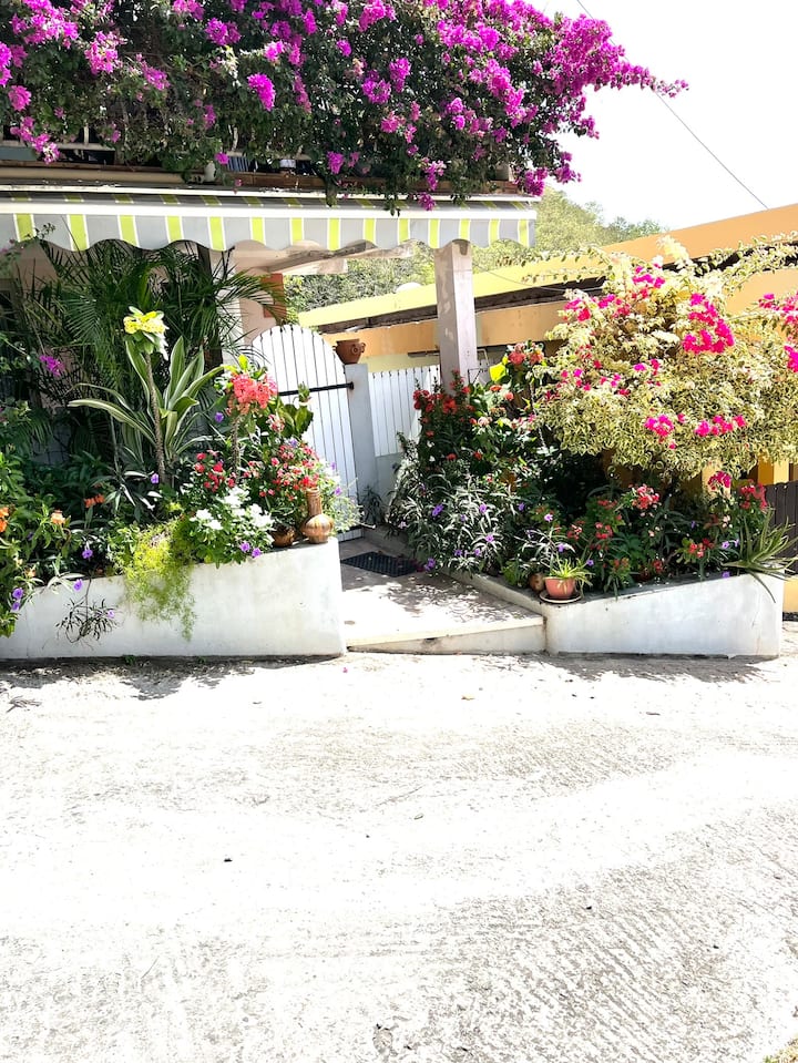 Le Bougainvillier - Les Anses-d'Arlet