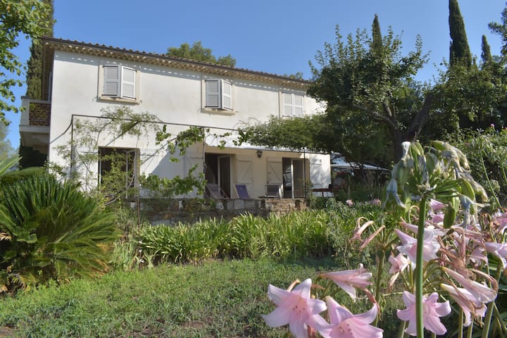 Maison Dans Vignes Et Oliviers - La Londe-les-Maures