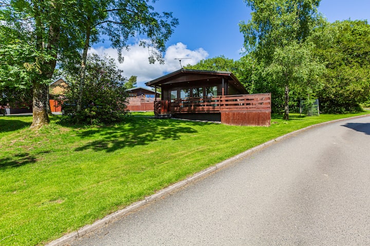 Bluebell Lodge 2 With Hot Tub - Newton Stewart