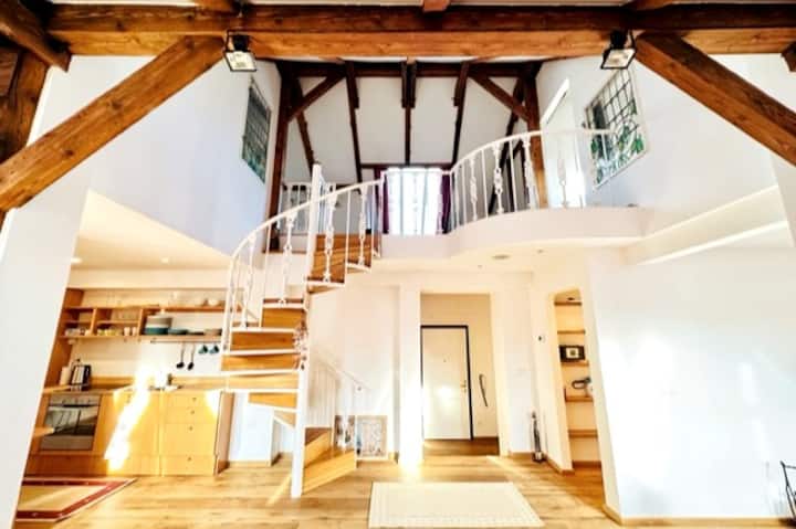 Bohemian Attic Duplex In The Old Town - Prague