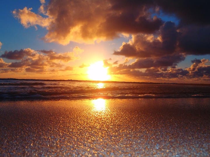 Tis The Season_special Best Location_waikiki Beach - Honolulu, HI