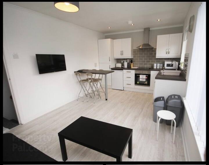 Ormeau Park Apartment - Belfast