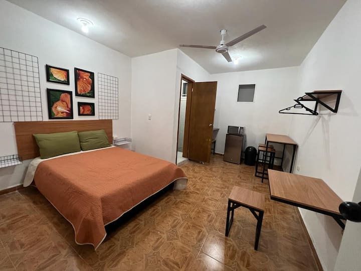 Habitación Economica Con Baño Privado - Playa del Carmen