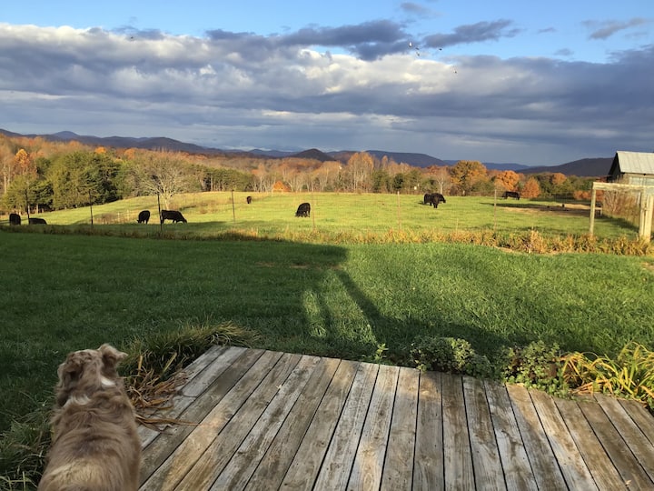 Peaks N' Ponds Farm House - Bedford, VA