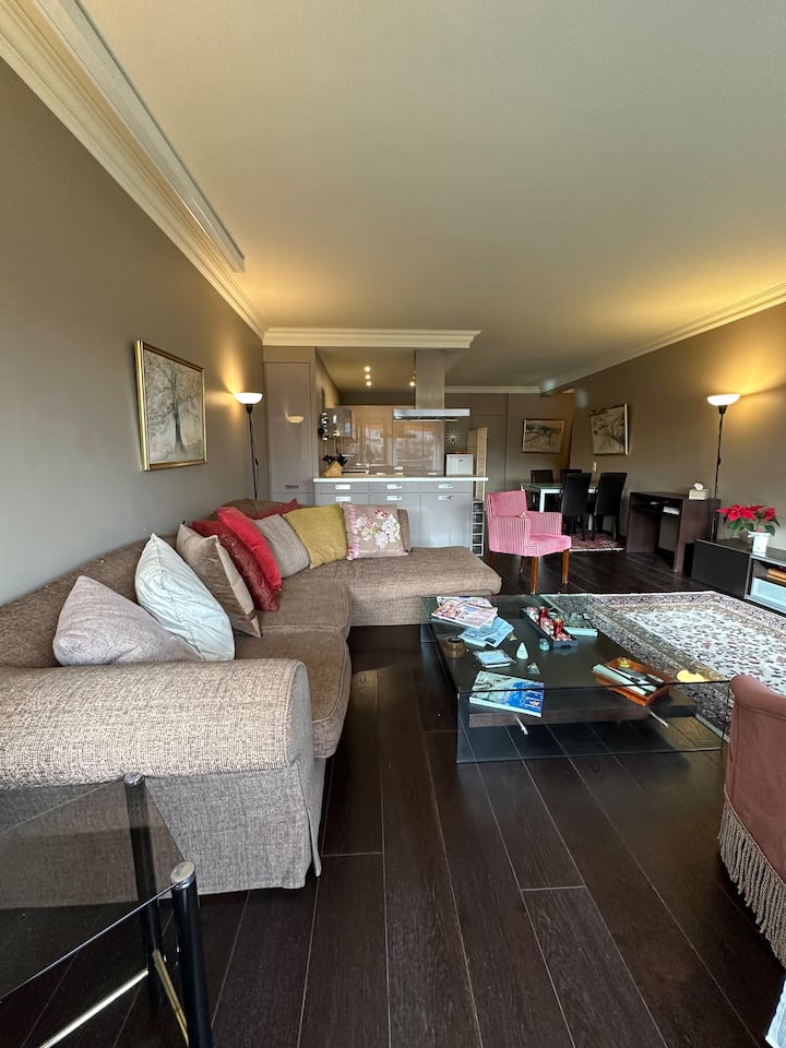 Large 3 Bedroom Family Apartment - Chêne-bougeries - Geneva