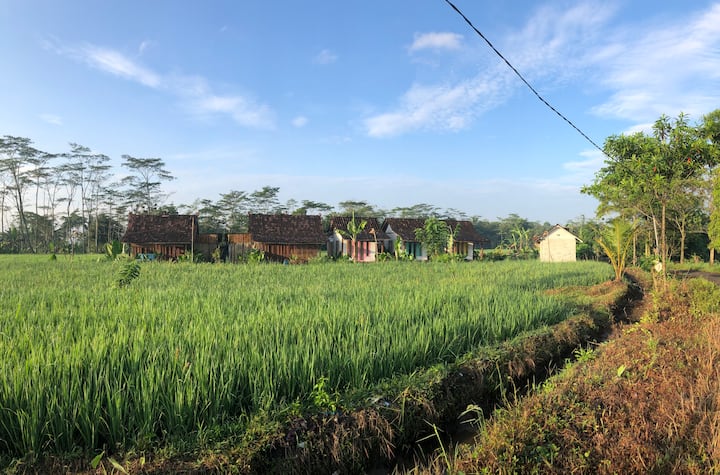 Omah Sebumi Bungalow 1 - Bromo