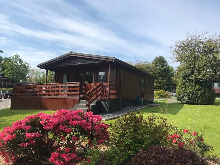Bluebell Lodge 5 With Hot Tub - Newton Stewart