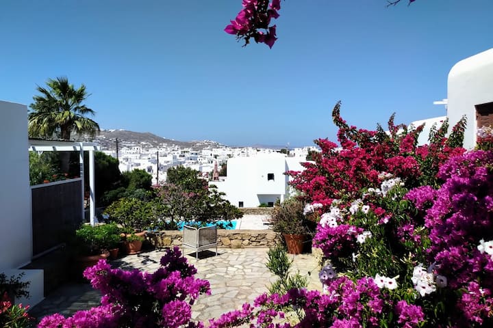 Mykonian White 2bedrooms-house - Mykonos