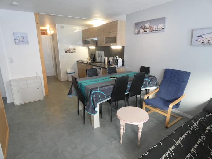 38m2,la Mongie Tourmalet,4/6pers - La Mongie