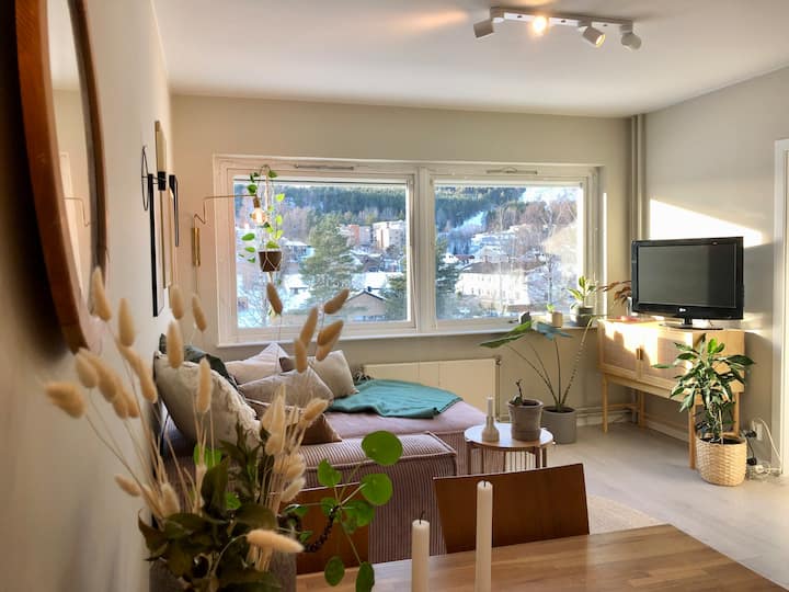 Peaceful Apartment With Lots Of Natural Light - Oslo