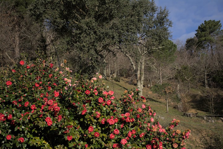 Logement à La Garde Freinet - La Garde-Freinet