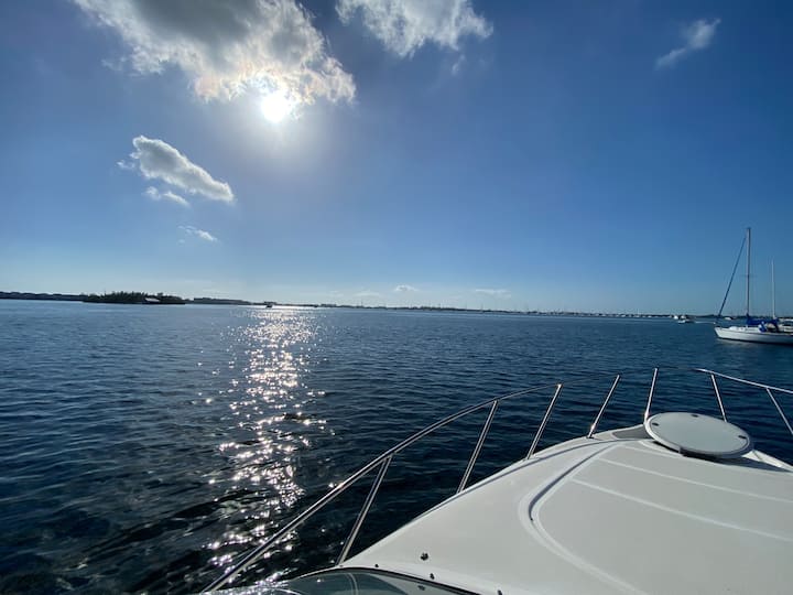 Stay On Roxie - Free Transport & Snacks, Byob. - Key West, FL
