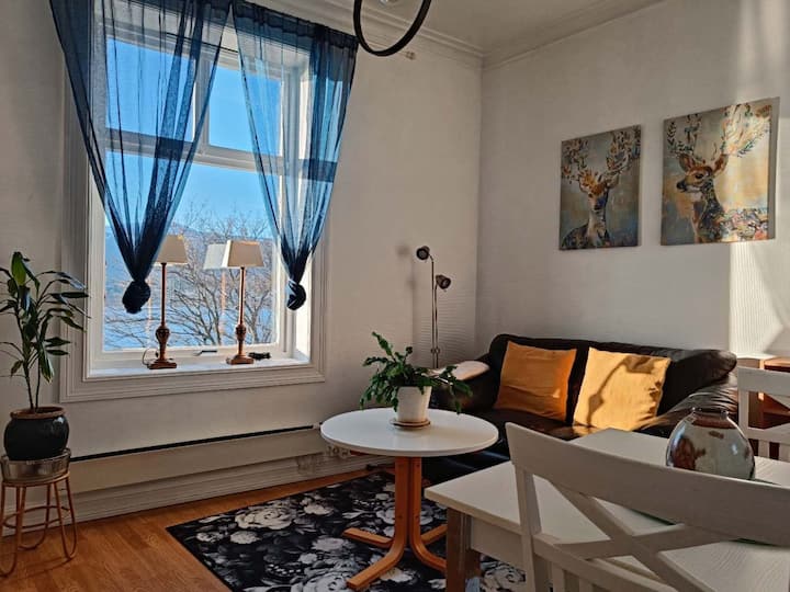 Cozy, Central, Ocean View - Ålesunds