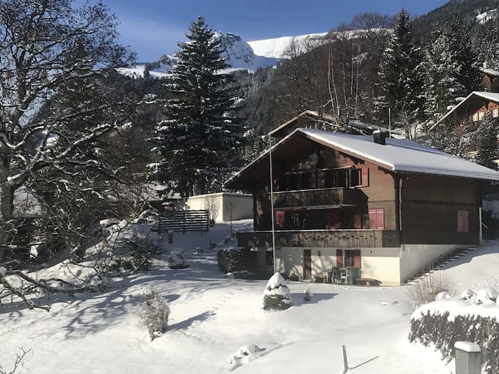 Bussalp Apartment - Aare Jungfrau Ag - Meiringen