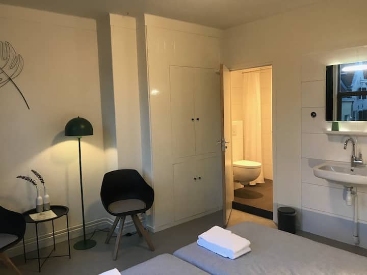Tweepersoonskamer Met Eigen Toilet En Douche. - Deventer