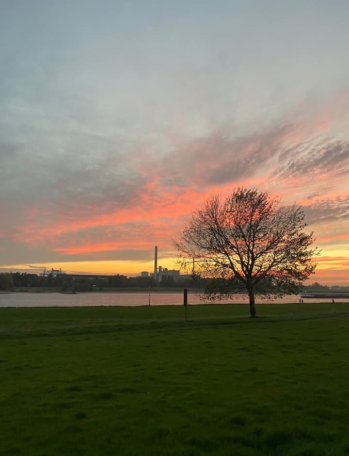 Messe Ideal Zimmer In Düsseldorf Oberkassel - Düsseldorf