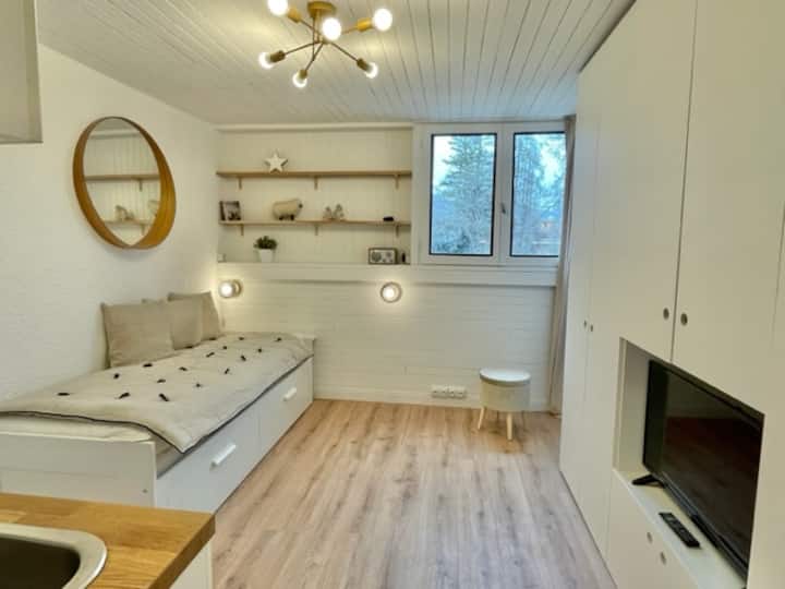 Studio Pied Des Pistes Praloup 1600 - Pra-Loup