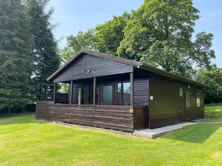 Birch Lodge 17 With Hot Tub - Newton Stewart