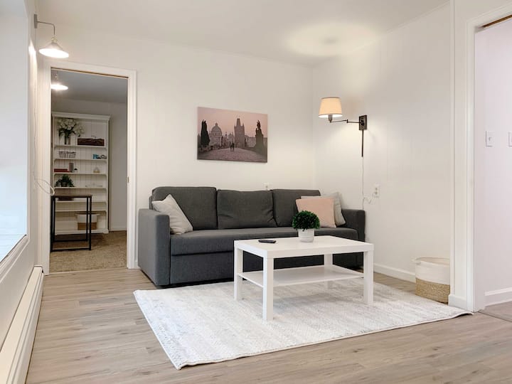 Cozy Apartment Downtown Foco - Fort Collins, CO